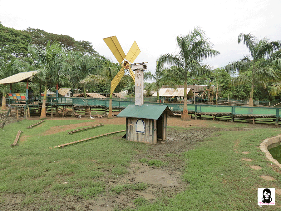 Exploring Davao Crocodile Park | Blushing Geek